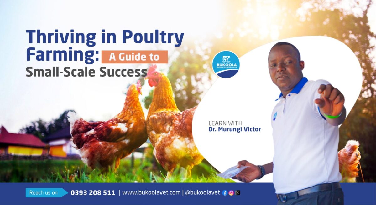 Bukoola Vet – The finest in veterinary care