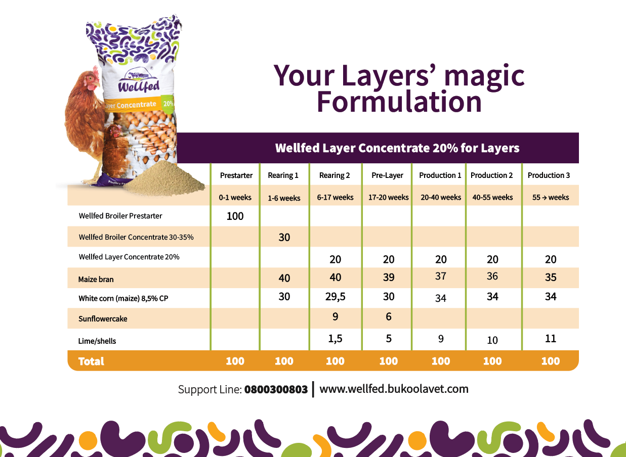 Wellfed Layer Concentrate - Bukoola Vet